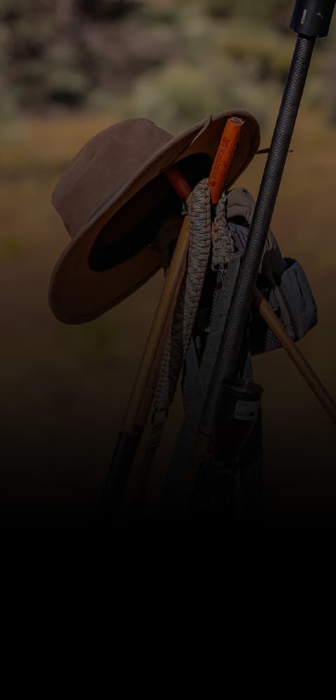 Home - Omujeve Hunting Safaris